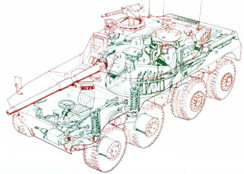 Talk:Rooikat - Wikipedia